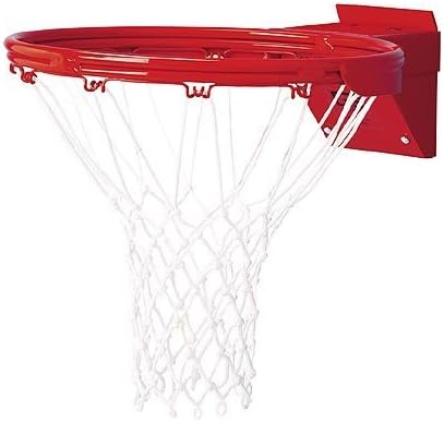 Amazon.com : Playground 5500 Double Ring Breakaway Basketball Goal from ...