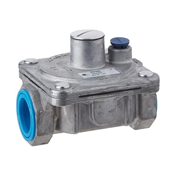 Maxitrol RV48L Liquid Propane Pressure Regulator, 1-1/16" In and Out ...
