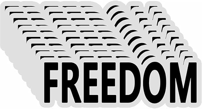 Amazon.com: 10 Pack Charlie Kirk Freedom Stickers - Bumper Sticker, Car ...