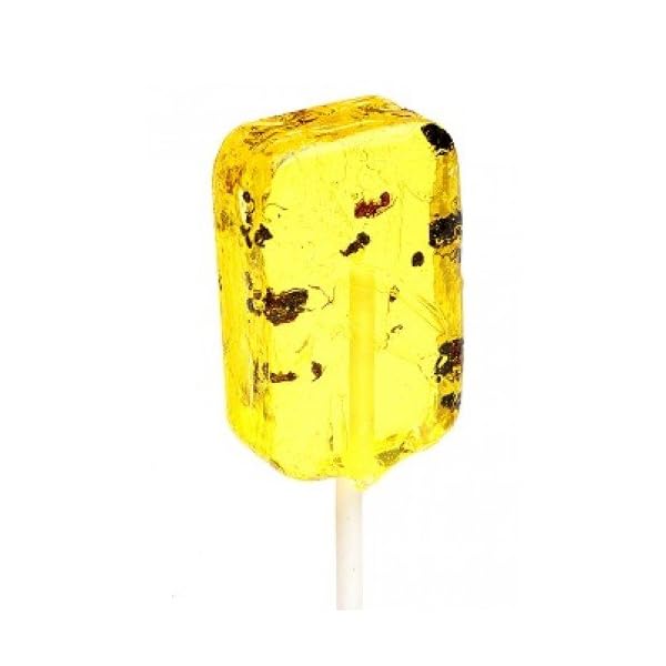 Insect Sucker Lollipop Bundle - Pack of 4 - Scorpion, Ants, Cricket ...
