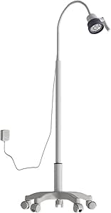 Amazon.com: LED Surgical Examination Lamp | Mobile Medical Gynecological Examination Light with ...