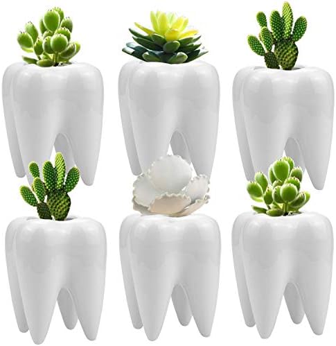 Amazon.com: Hedume 6 Pack Tooth Shaped Planter Pots, Small Cute Flower ...