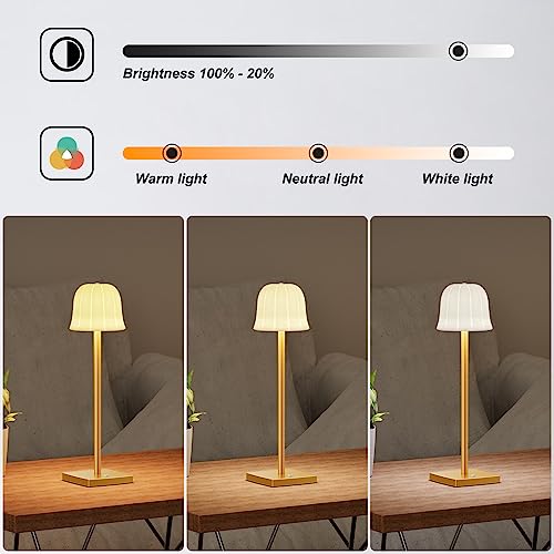 Snapklik.com : Cordless Table Lamps Rechargeable, LED Outdoor Table ...