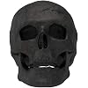 Amazon.com: Regal Flame Human Skull Ceramic Wood Large Gas Fireplace ...