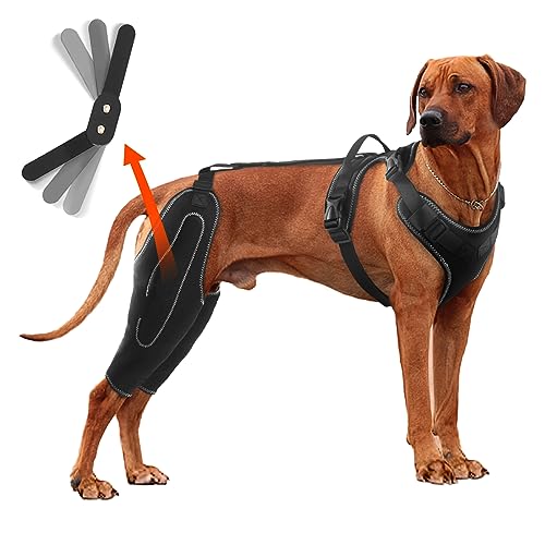 Unleash the Top 10 Splints for Your Furry Friend's Leg - A ...