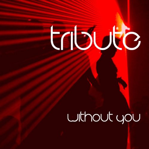Amazon.com: Without You (David Guetta feat. Usher Cover) - Single ...
