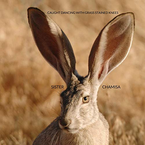 Amazon Music - Sister ChamisaのCaught Dancing With Grass Stained Knees ...