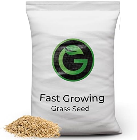 GroundMaster Premium Lawn Grass Seed – 10KG Hard Wearing & Fast ...