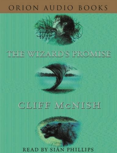 The Doomspell Trilogy: The Wizard's Promise: Book 3 : McNish, Cliff ...