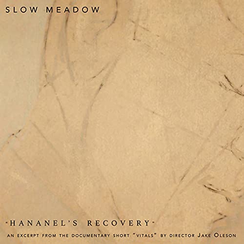 Hananel's Recovery de Slow Meadow en Amazon Music Unlimited