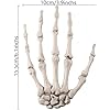 Amazon.com: Halloween Skeleton Hands Plastic Fake Hand Skeleton Model ...