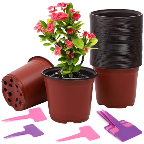 Groe Plastik Blumentpfe