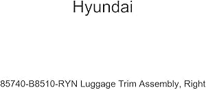 Amazon.com: Genuine Hyundai 85740-B8510-RYN Luggage Trim Assembly ...