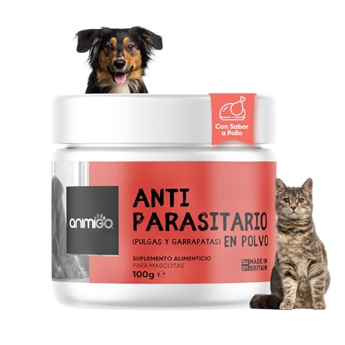 Tratamiento y remedios caseros para la miasis en gatos