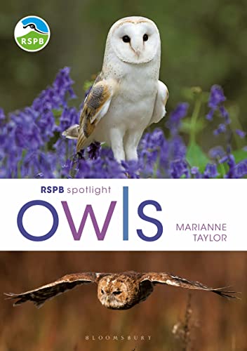 How to Find an Owl: A Comprehensive Guide to Owl Spotting | All Things ...