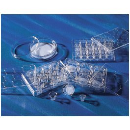CORNING 3401 Clear Transwell with 0.4 µm Pore Polycarbonate 12 mm ...
