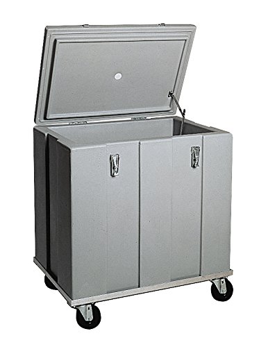 ThermoSafe 300 Heavy Duty Dry Ice Storage Chest with Handle, 3.75 cu ...