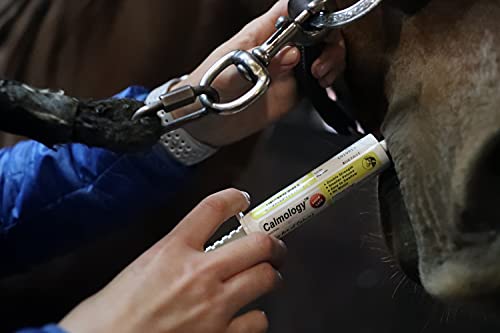The 29 Best Horse Calming Supplements of 2024 [Verified] - Cherry Picks