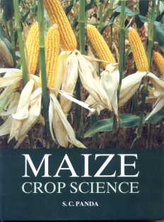Amazon.in: Buy Maize Crop Science Book Online at Low Prices in India ...
