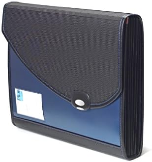 Rapesco 0679 7-Part Business Expanding File Folder with Handle, A4 ...