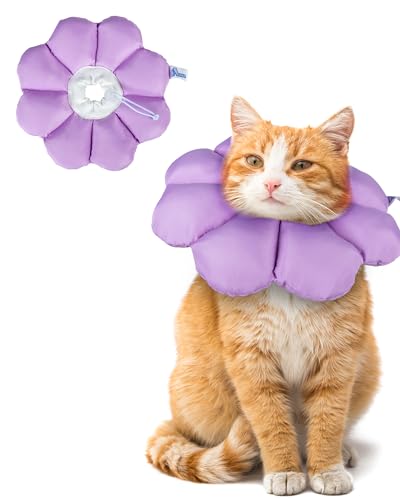 Cones for Cats – The 15 best products compared - Wild Explained