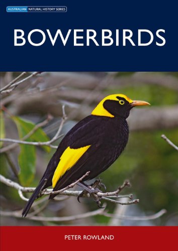 Bowerbirds (Australian Natural History Series) eBook : Rowland, Peter ...