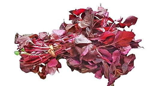 Chillatai Red Siru Keerai Vidhai | Red Tropical Amaranth Seeds 10g ...