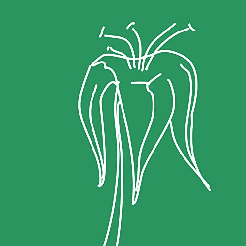 Écouter Movement 480 par Alexander Silva sur Amazon Music Unlimited