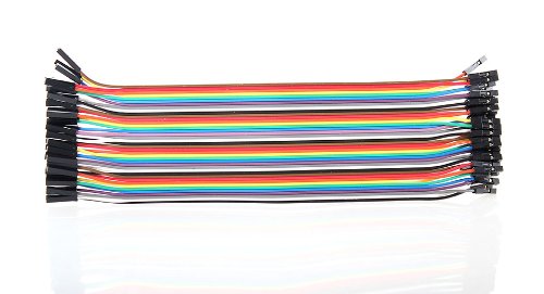 40-pin Splittable Ribbon Cable (20cm) : Amazon.in: Electronics