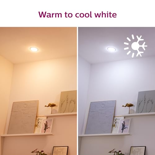 Philips Smart 65-Watt BR40 Color Flood Light Bulb 4-Pack, Frosted ...