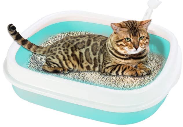 Buy BOFOS Cat Litter Box Tray with Scooper Suitable for Cats & Kittens ...