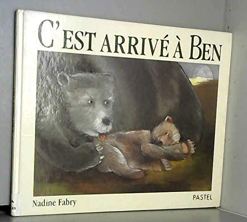 C'EST ARRIVÉ À BEN : FABRY,NADINE: Amazon.ca: Books