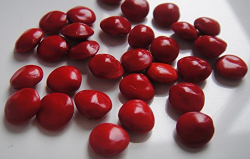 Creative Farmer Tree Seeds Rakt Chandan - Adenanthera Pavonina Shade ...