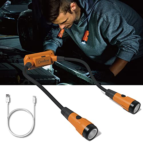 The Undisputed World Champion of Daily Tool Deals
