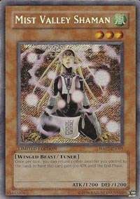 Amazon.com: Yu-Gi-Oh! - Mist Valley Shaman (HA01-EN005) - Hidden ...