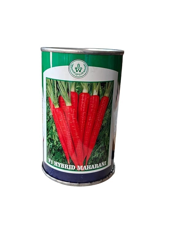 TEAM SEEDS CARROT F1 HYBRID MAHARANI (100GM) SEEDS : Amazon.in: Garden ...