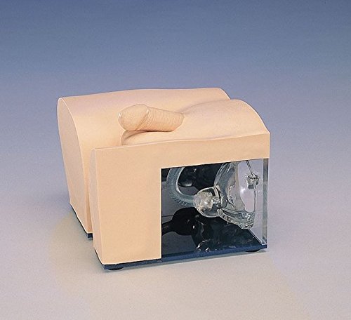 Male catheterisation model : Amazon.co.uk: Business, Industry & Science