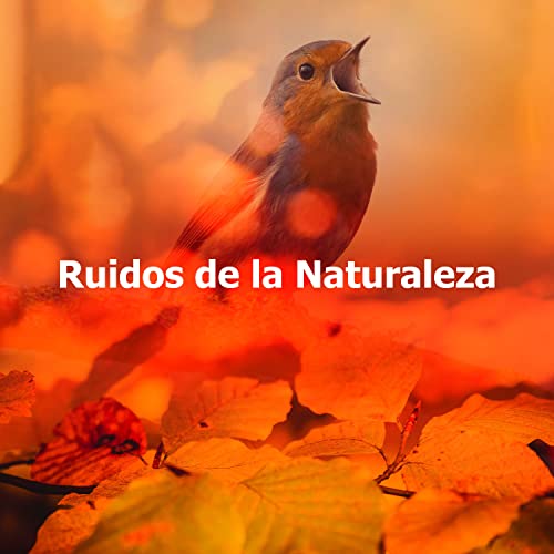 Amazon.com: Ruidos de la Naturaleza : El Rudio Blanco: Digital Music