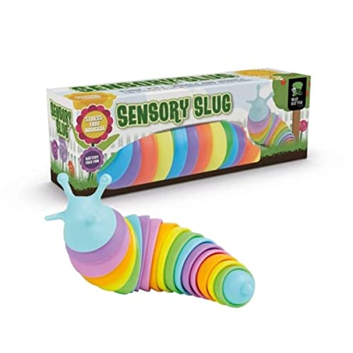 Sensory Slug Fidget Toy – BigaMart