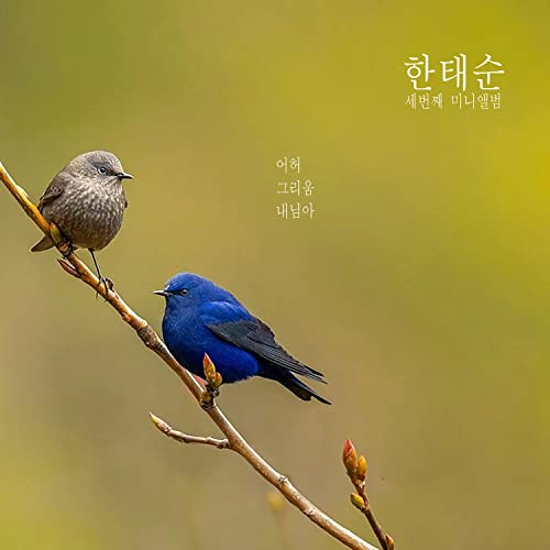 Amazon MusicでHan Tae-SoonのUh-ohを再生する