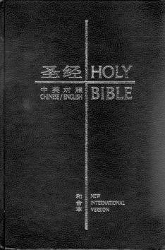 Amazon.com: Chinese English Bible Niv/Union Simplified Version-Standard ...