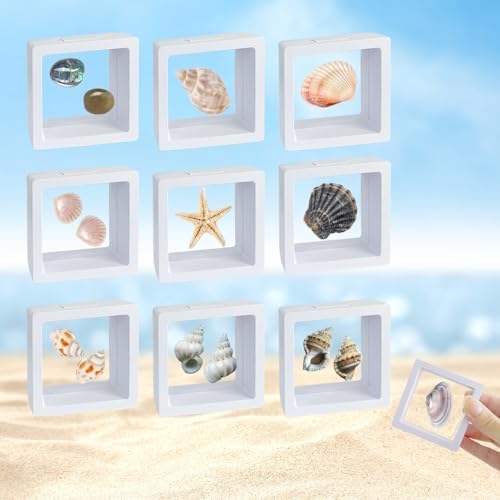 Amazon.com: 10 Pcs Seashell Holder, 3D Floating Display Case 2.7 x 2.7 Inches,Transparent PE ...