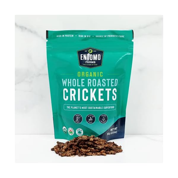 Organic Cricket Whole Roasted 113 grams - North American Farmed - Paleo ...