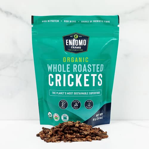Organic Cricket Whole Roasted 113 grams - North American Farmed - Paleo ...
