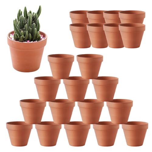 Mini macetas de barro: la elección perfecta para dar vida a tus plantas ...