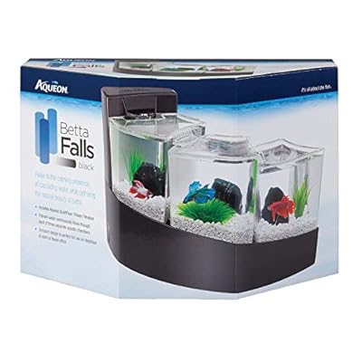Multiple Betta Fish Tanks