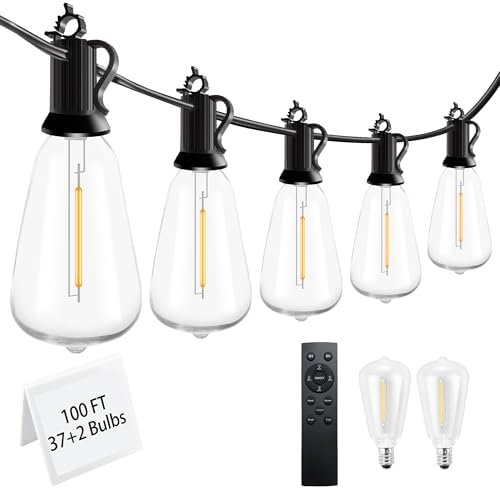 LCLAMARCES 100FT Outdoor String Lights with Remote, LED Patio Lights ...