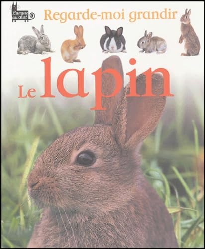Amazon.com: Le lapin: 9782874314872: Lisa Magloff: Books