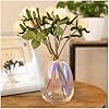 Amazon.com: Modern Style Glass Vase - Hand Blown Decoration for Table ...