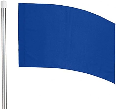 Amazon.com : Flag Pole Weight Anchors Color Guard by DSI : Patio, Lawn ...